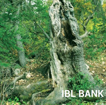 Annual reports | IBL